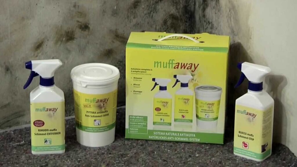 Muffaway, prodotto antimuffa naturale - Gruppo STEA